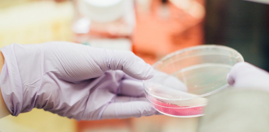 Laboratory tests as the basis for food safety — testxchange