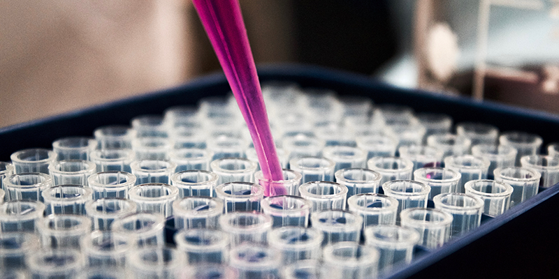 Testing for restricted substances (SVHC) — testxchange