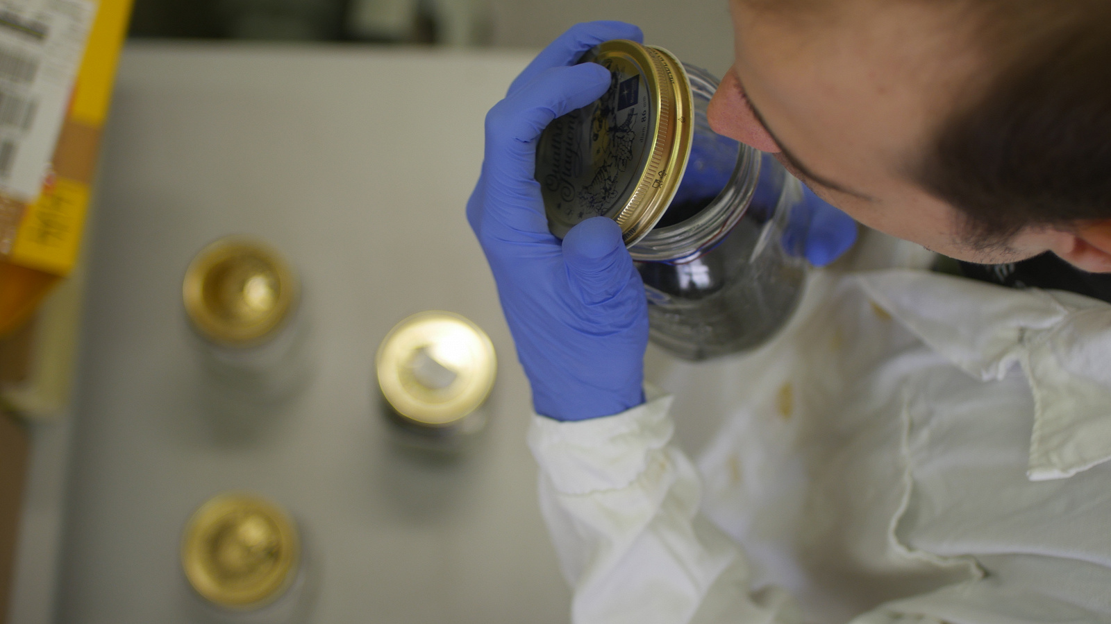 MÜKI LABOR Kft. | Testing lab in Budapest | testxchange